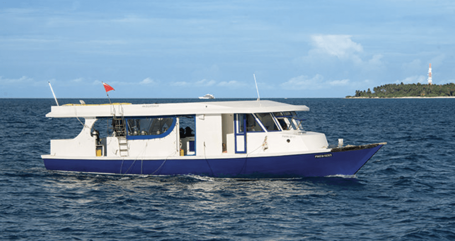 Home - Spirit Liveaboards - Welcome to Luxury Liveaboard experience in ...