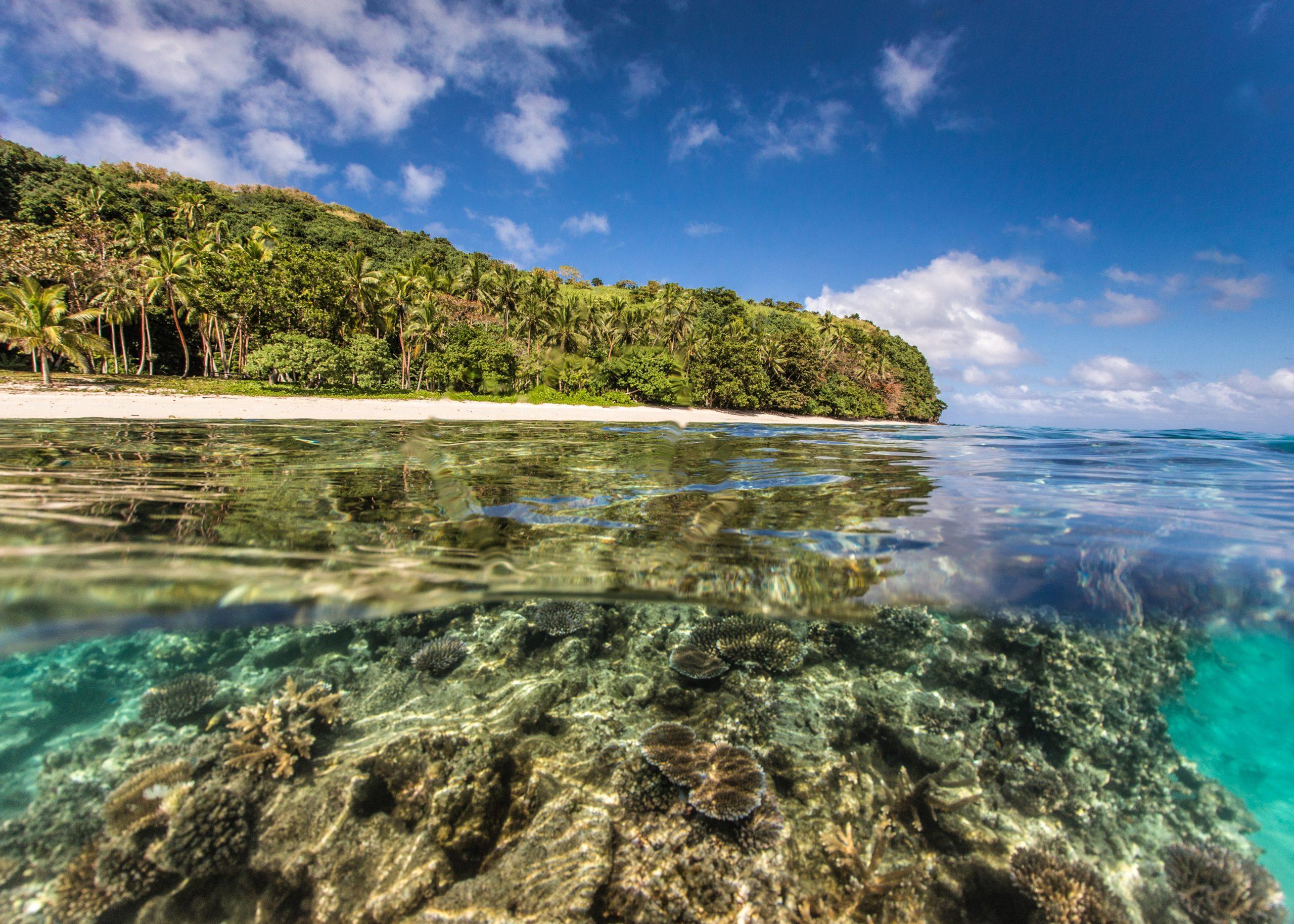15 Scuba Diving Destinations: Best Dive Sites in the World - Spirit ...