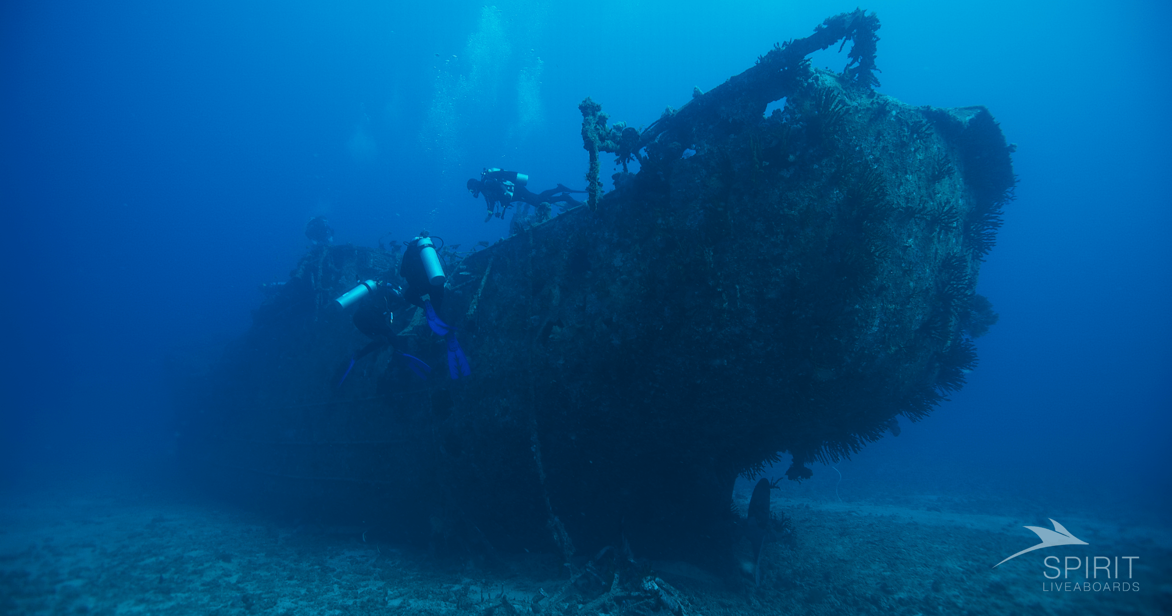 Wann ist die beste Zeit zum Tauchen in Fidschi? Fidschi-Riffe per ...